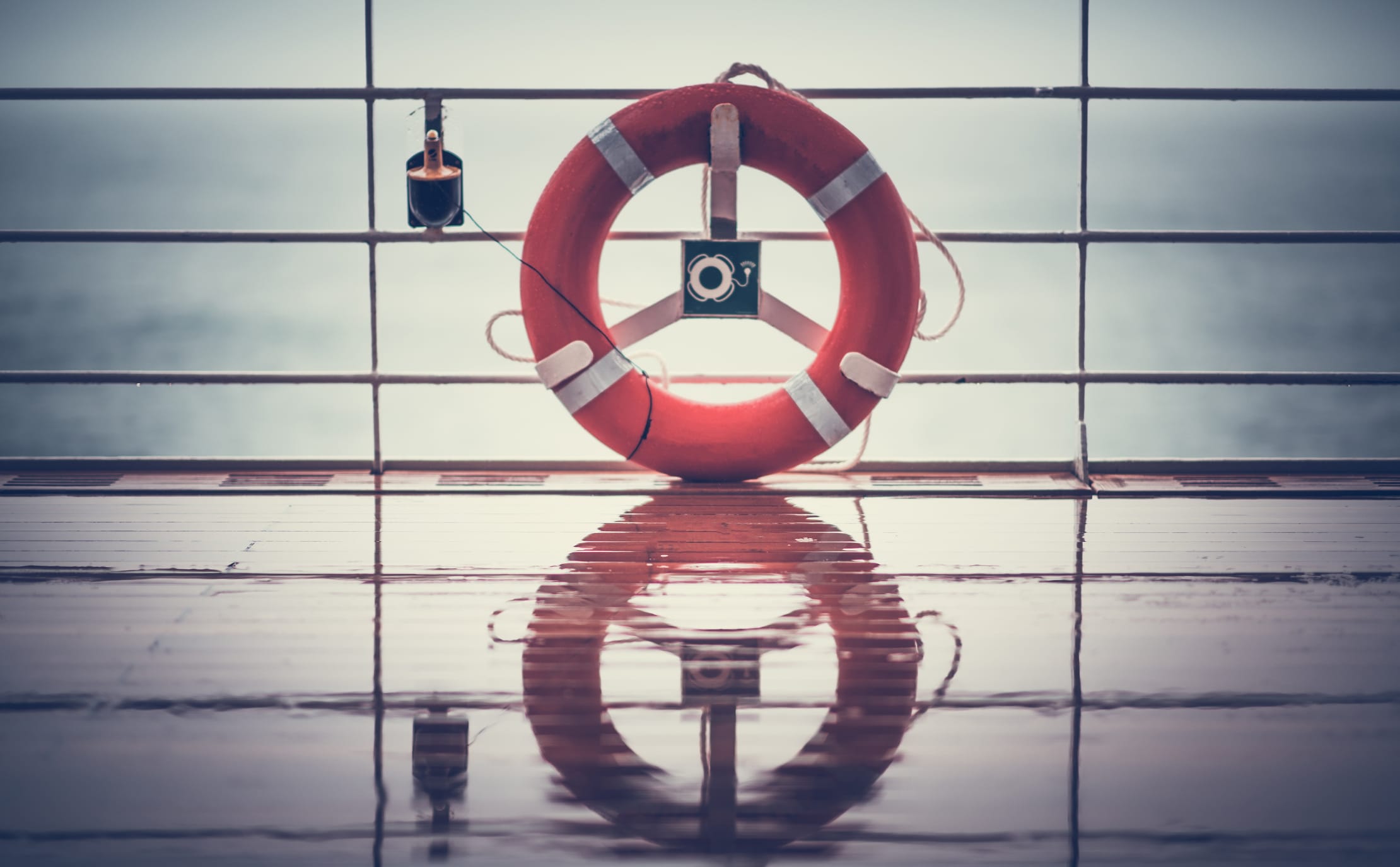 Understanding Your Host Dashboard - bookably.nz