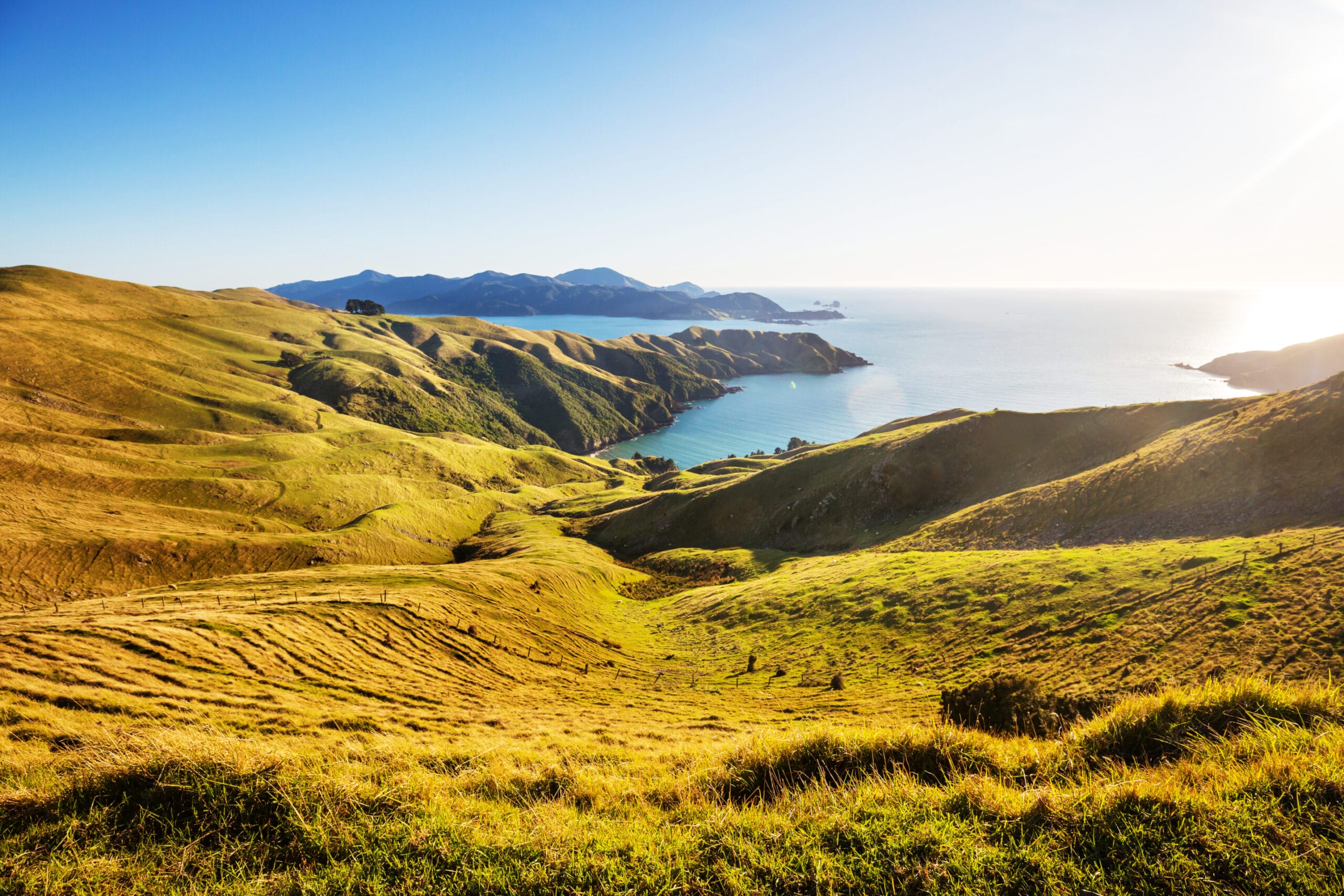 North Island - bookably.nz
